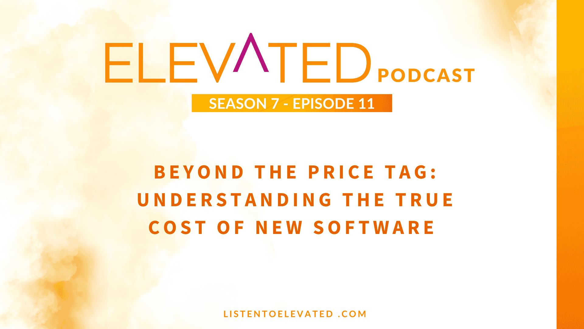 Beyond the Price Tag: The True Cost of Software Implementation